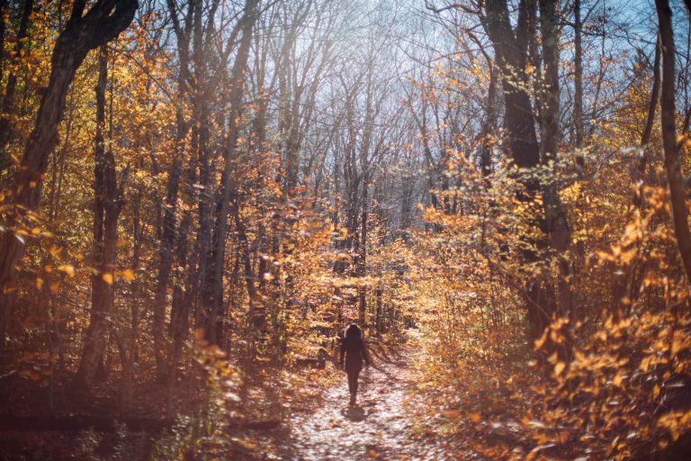 Catskills Fall Jaunt | Jake.News