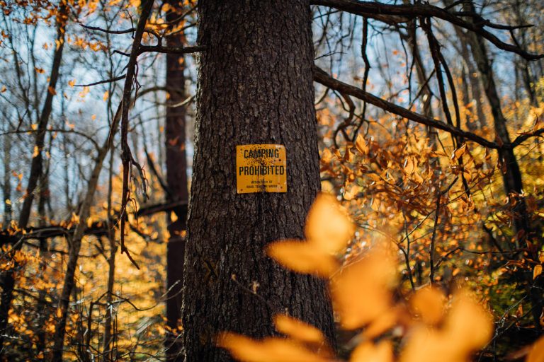 Catskills Fall Jaunt | Jake.News